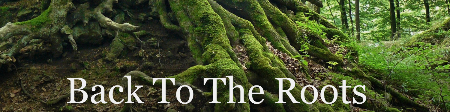Back to the roots – HerrSpitau.de